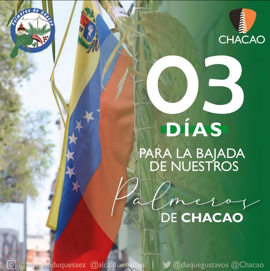 Cada vez está más cerca la bajada de nuestros Palmeros de Chacao